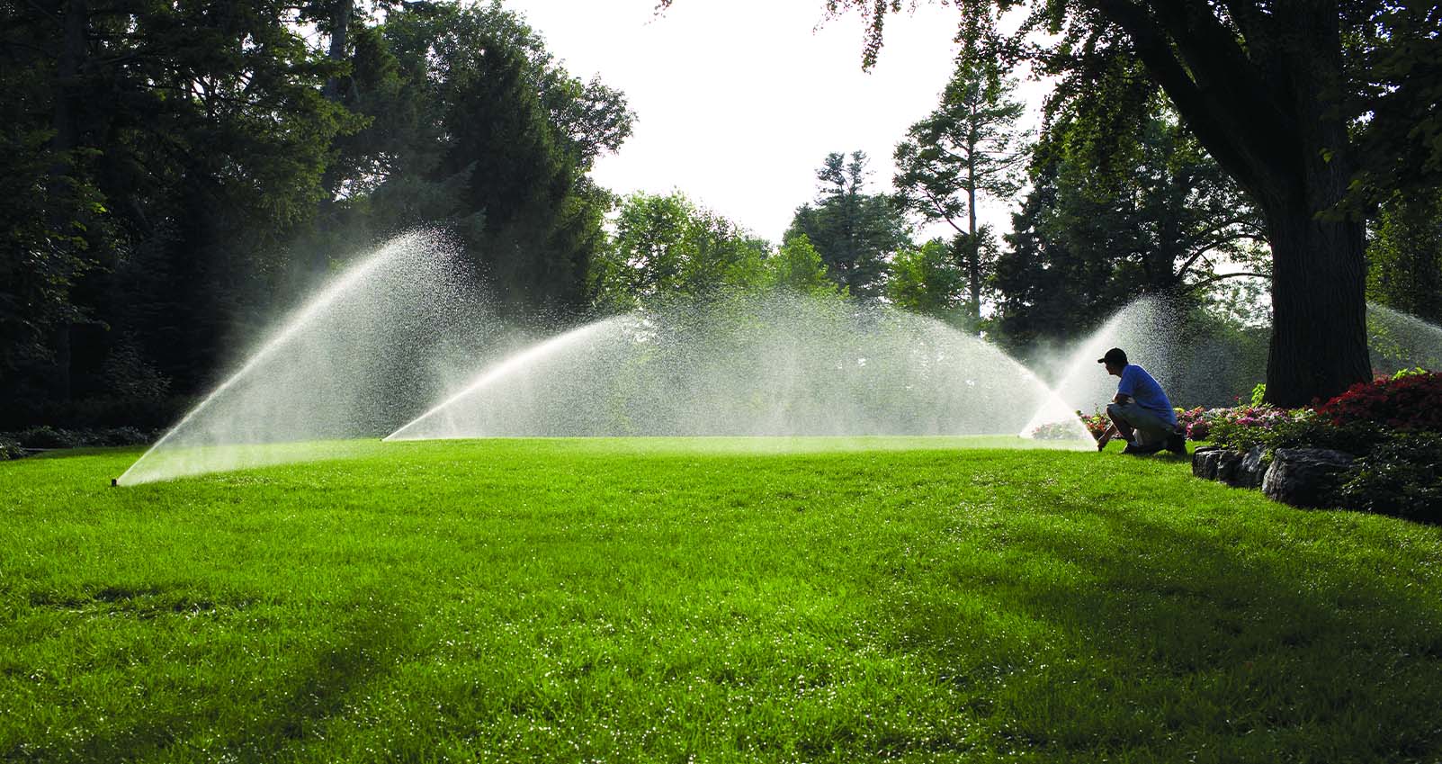 How Irrigation and Drainage Work Together for a Perfect Lawn